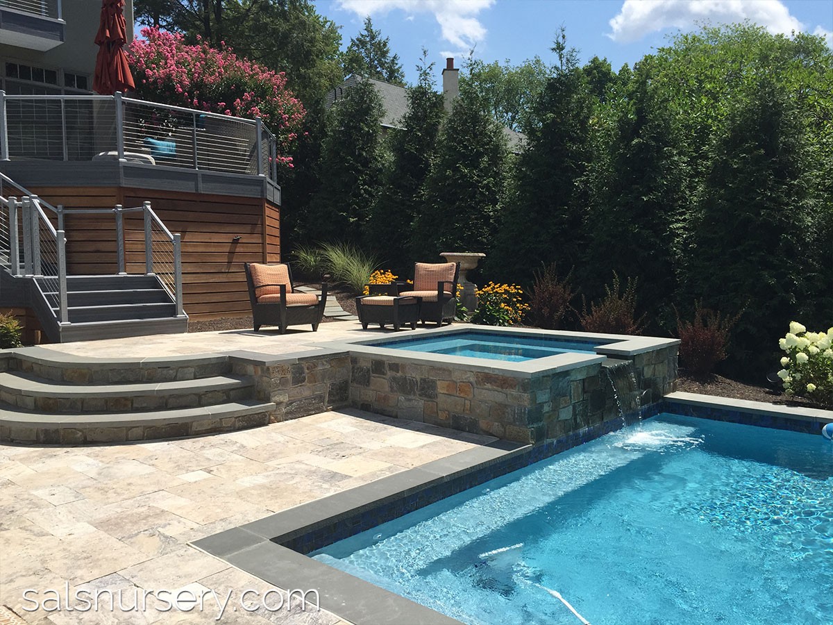 Featured Project: Modern Pool Deck | SALS NURSERY AND LANDSCAPING